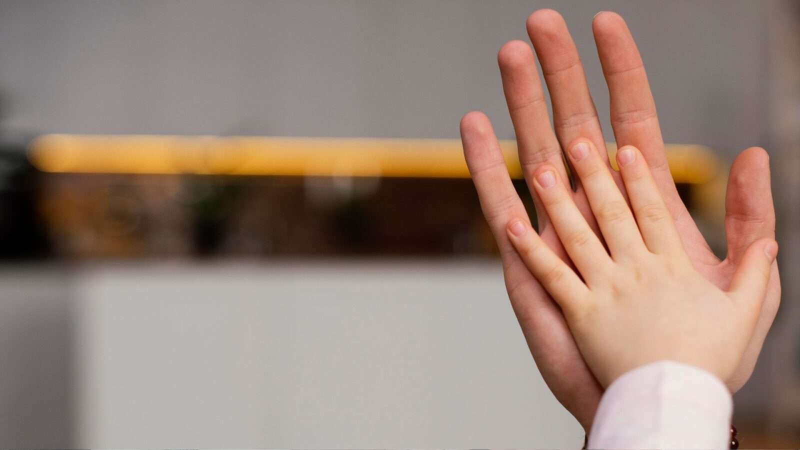 What San Antonio Families Should Know About the Expanded Standard ...